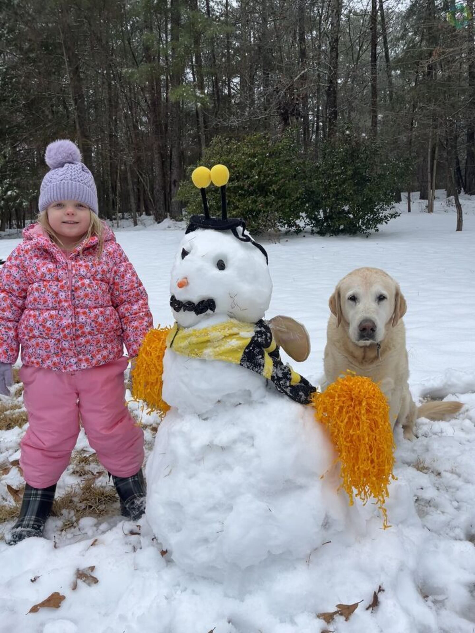 PHOTOS: Check out these snowmen around north Georgia – WSB-TV Channel 2 ...