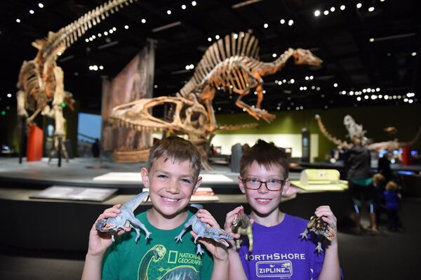 Ultimate Dinosaurs brings dinosaur bones, fossils, augmented reality to ...